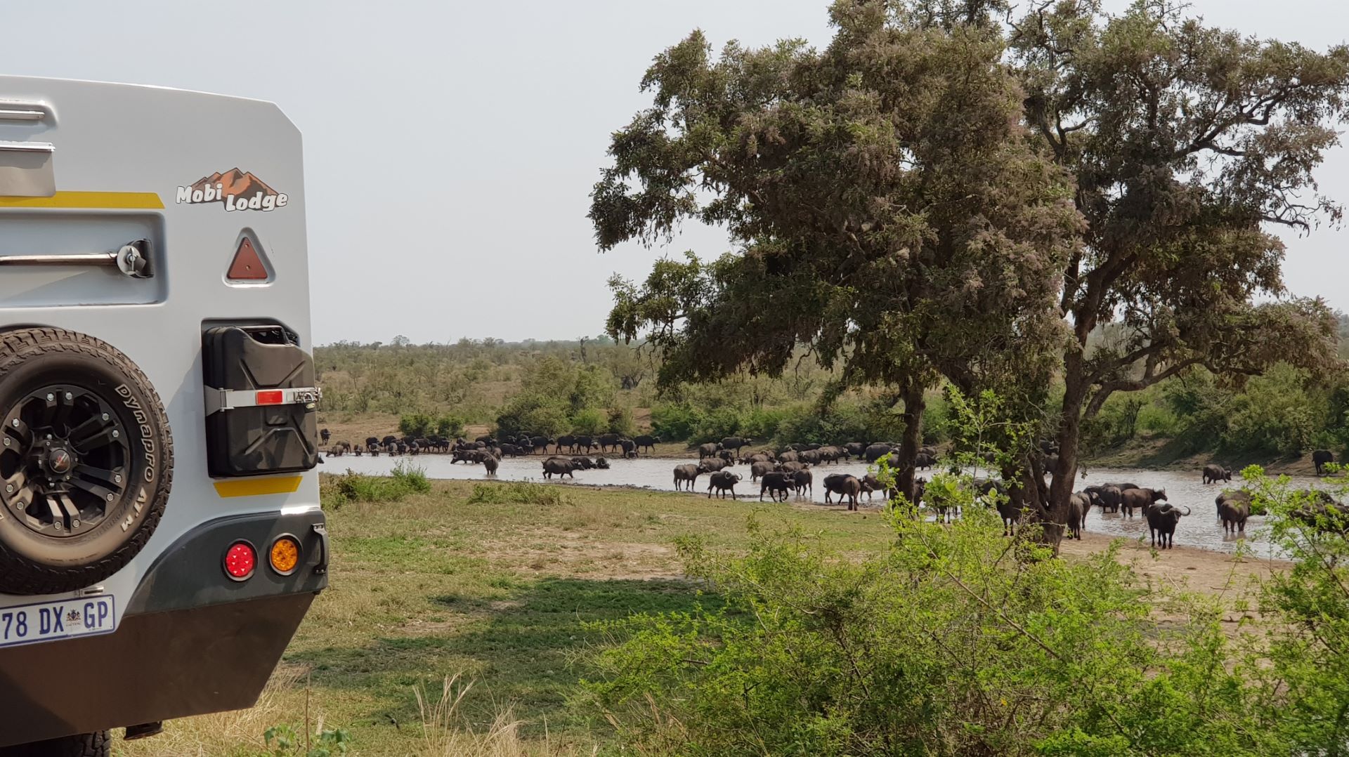 Mobi Rental – Mobi Lodge Rentals – Luxury Offroad Camping